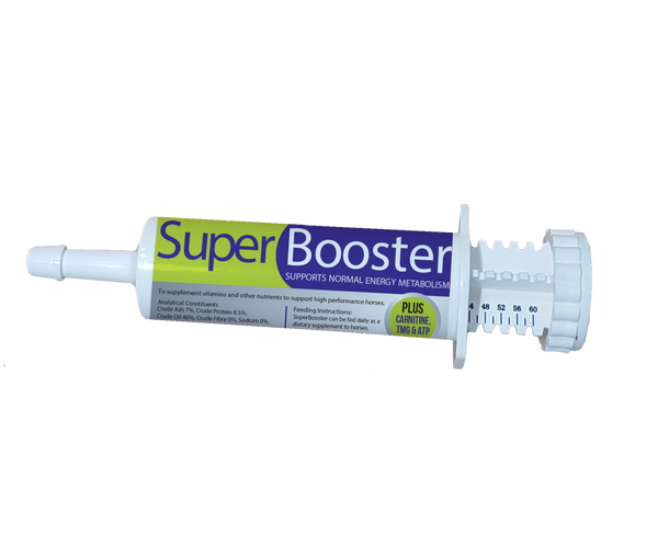 Super Booster Paste 60ml – AmacronEquine