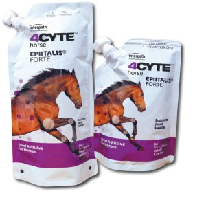 4Cyte EPIITALIS Forte Gel 250ml – AmacronEquine