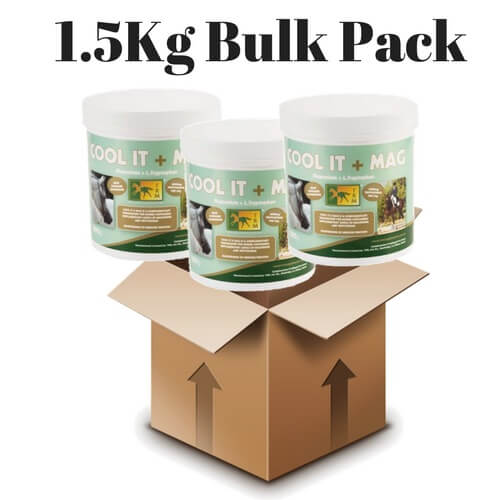 Cool-It + Mag Powder 500g - Bulk Pack – AmacronEquine